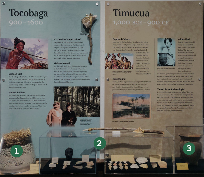 Tocobaga-Timucua - West Pasco Historical Society